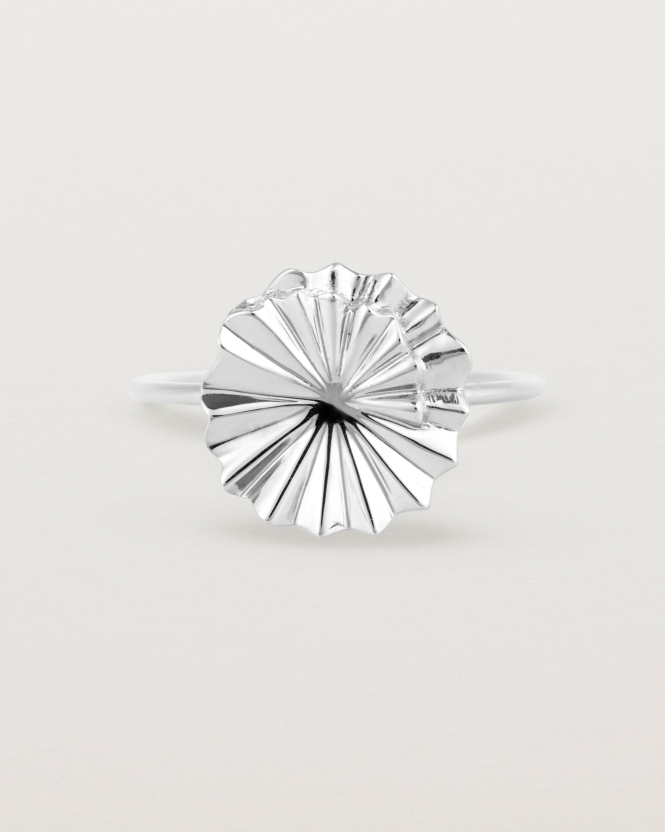 Pan Ring | Sterling Silver | Natalie Marie Jewellery